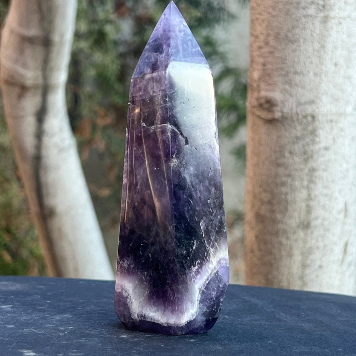 Ametist chevron generator model 20 – DRUZY