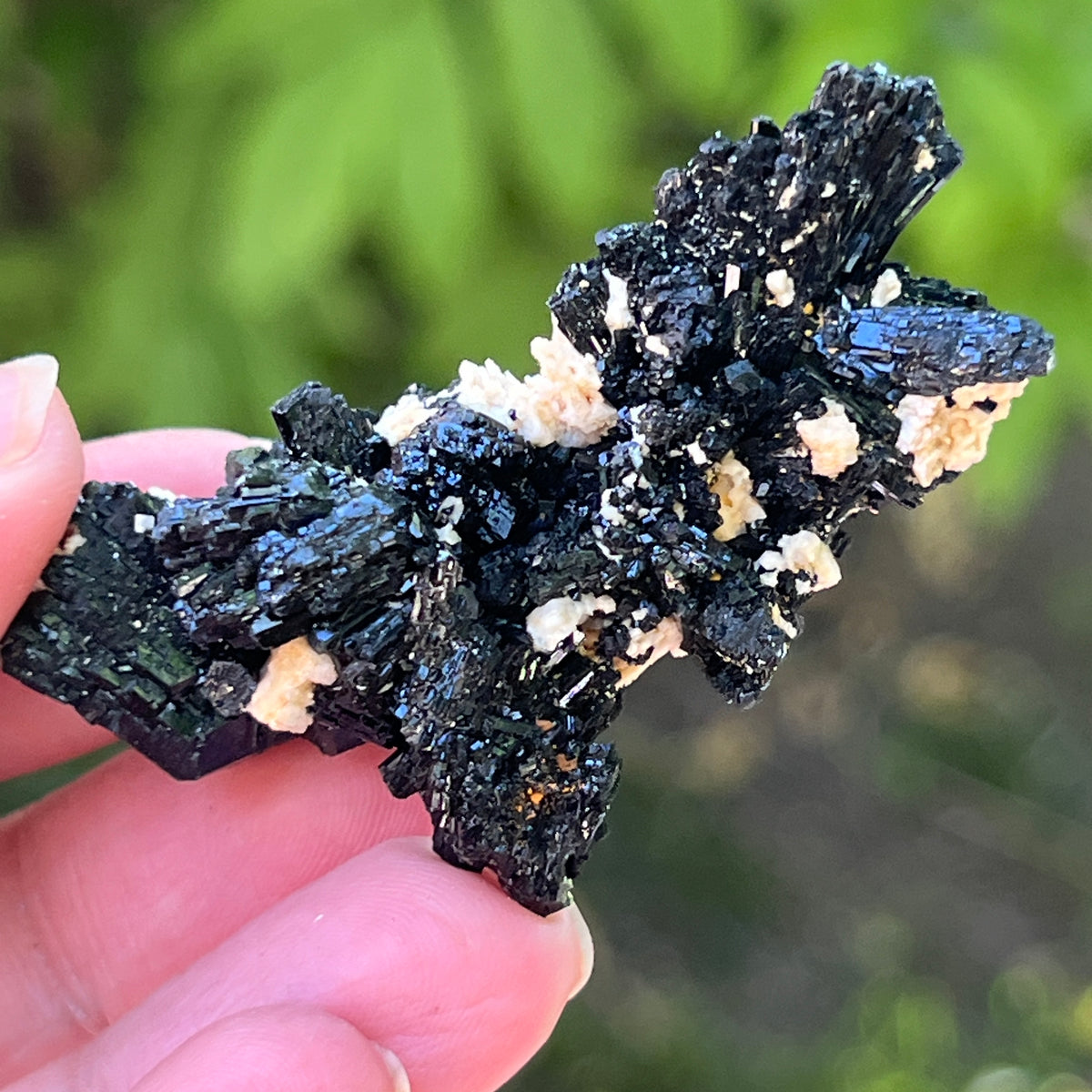 Cluster turmalina neagra model 20 din Erongo, Namibia – DRUZY