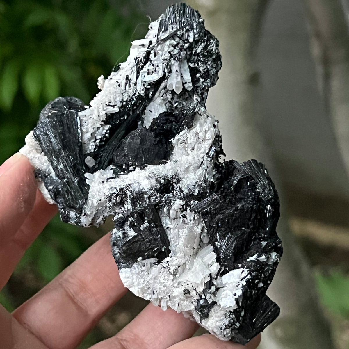 Cluster turmalina neagra model 11 din Erongo, Namibia – DRUZY