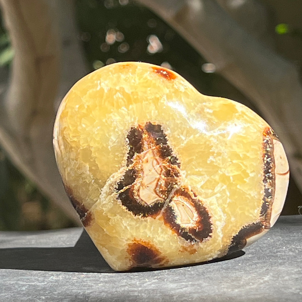 Inima septaria XL model 1 – DRUZY