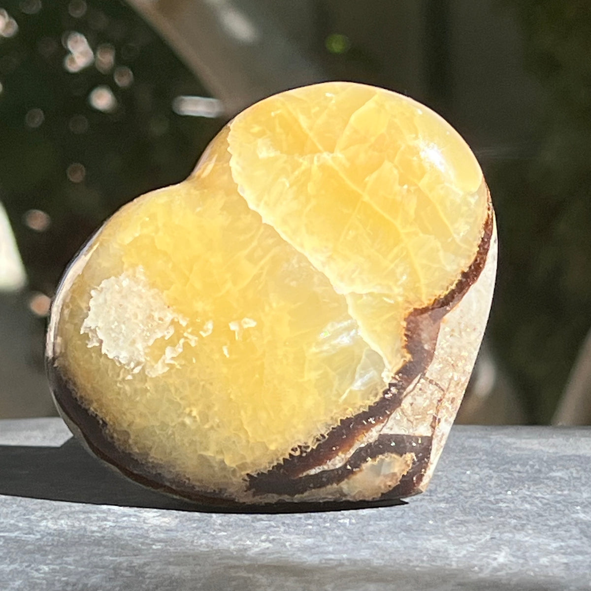 Inima septaria XL model 5 – DRUZY