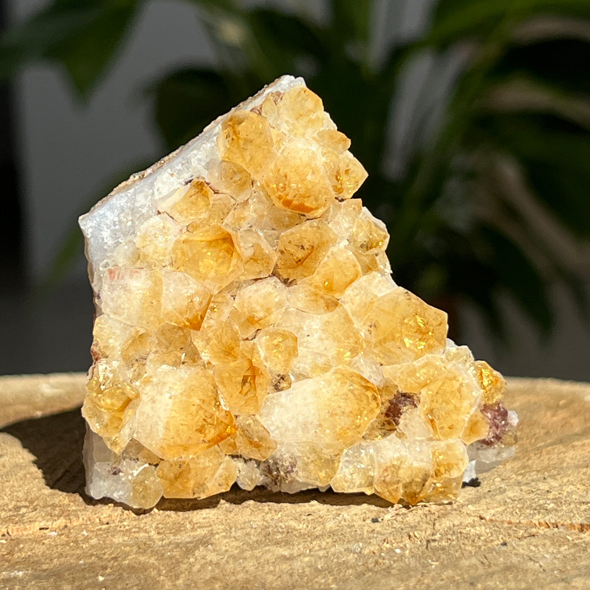 Cluster de Citrin tratat termic| Model 16 – DRUZY