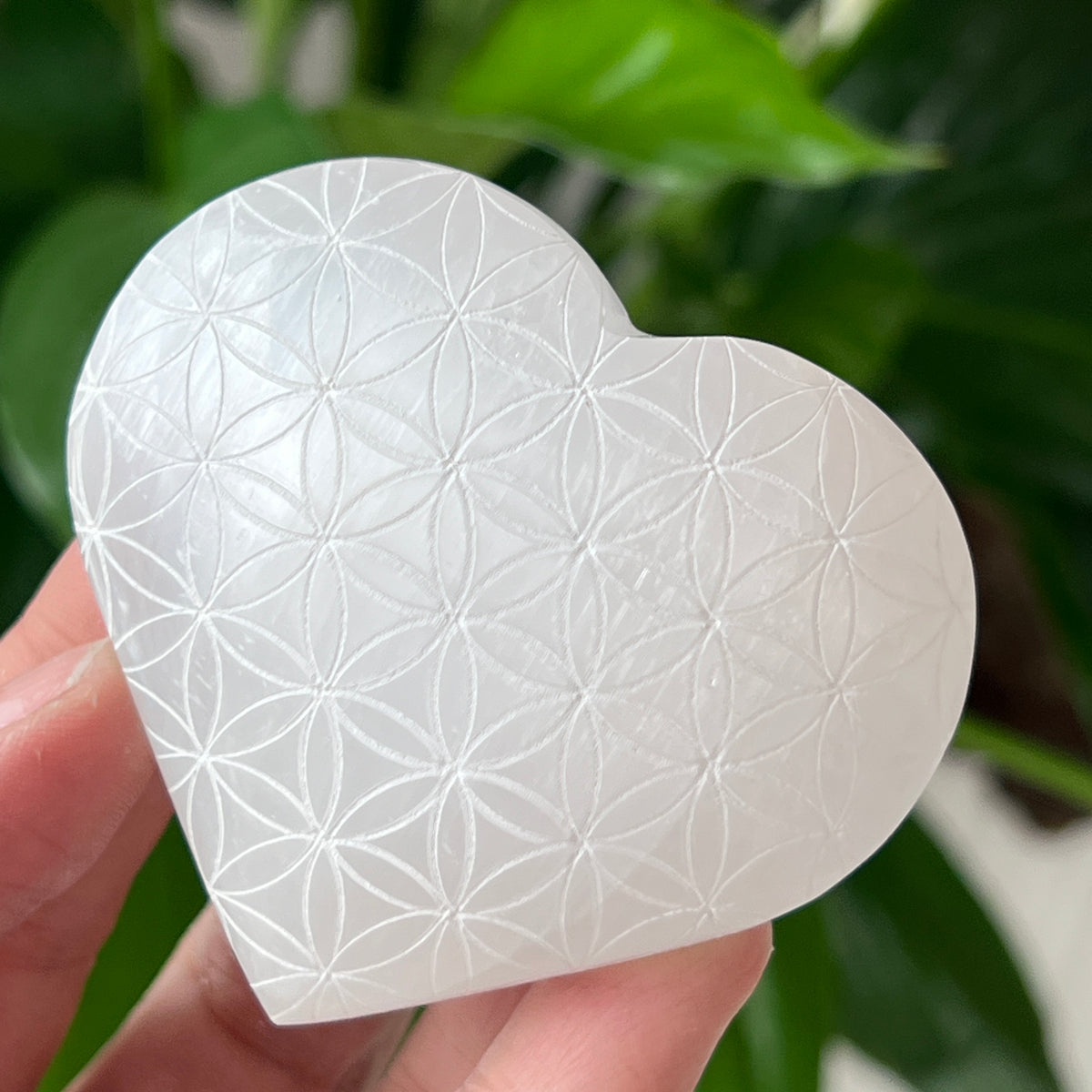 Inima selenit | Flower Of Life – DRUZY