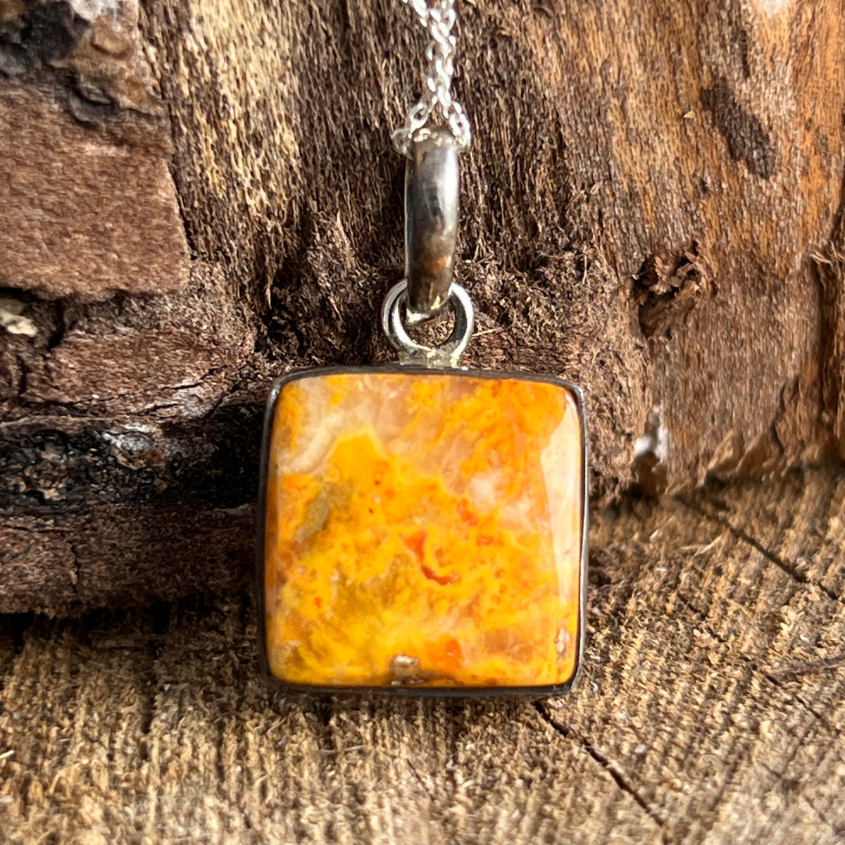 Pandantiv argint jasp bumblebee | Model 3 – DRUZY