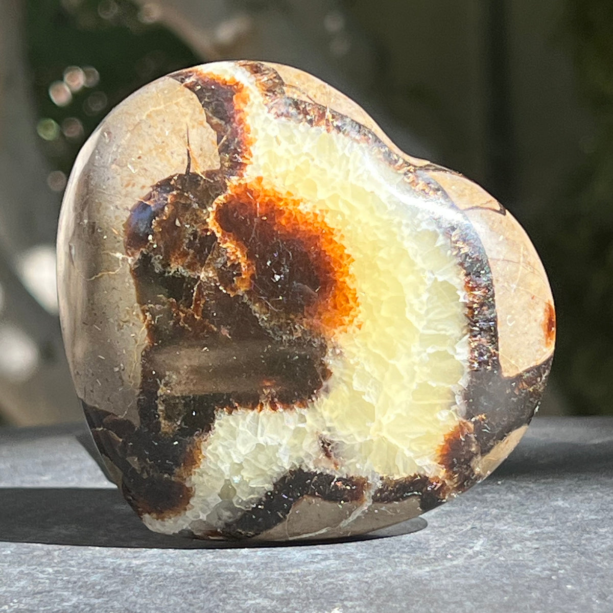 Inima septaria XL model 3 – DRUZY