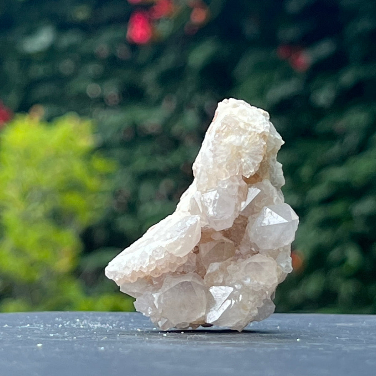 Cluster cuart spirit/cuart cactus mini model 7 – DRUZY