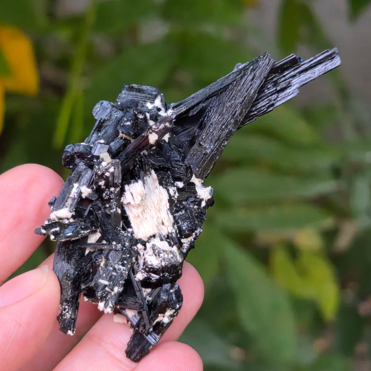 Cluster turmalina neagra model 25 din Erongo, Namibia – DRUZY